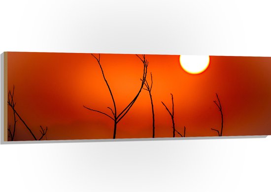 Hout - Takken - Natuur - Zon - Rood - 150x50 cm - 9 mm dik - Foto op ...