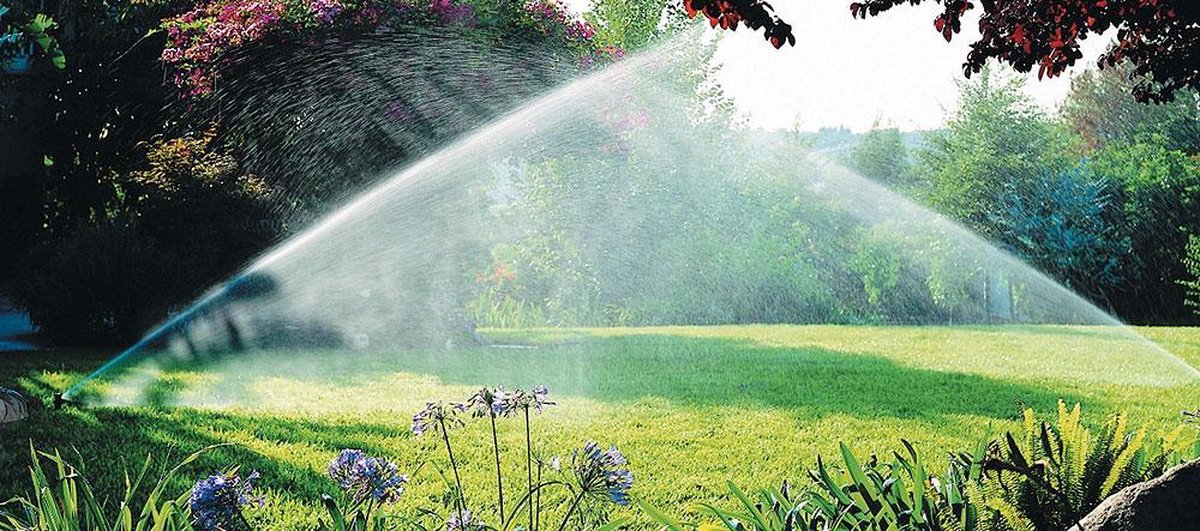 Rain Bird 5006 PLUS - 15cm pop-up sproeier | bol.com