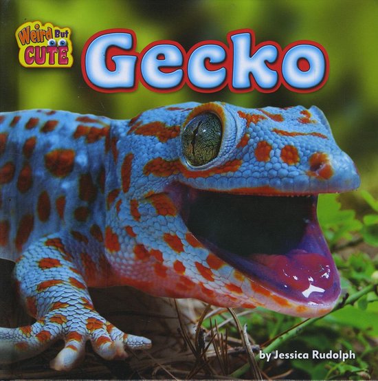 Weird But Cute- Gecko, Jessica Rudolph | 9781627248495 | Boeken | bol