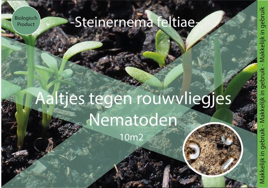 Aaltjes tegen Rouwvliegjes 10m2 - Steinernema Feltiae - Biologische ...