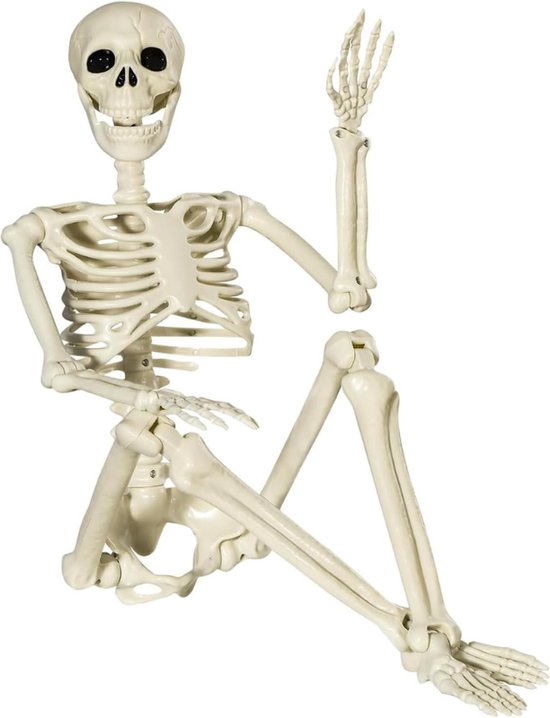 90 Cm Skelet Voor Halloween - Decoratief Kunststof Skelet Met Beweegbare Gewrichten... | bol