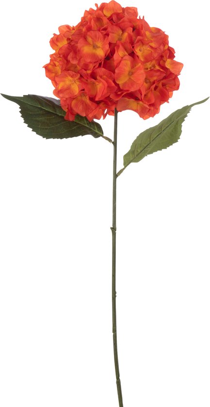 J-line - Hortensia Sproeier Kunststof Rood - 74x18x13cm | bol