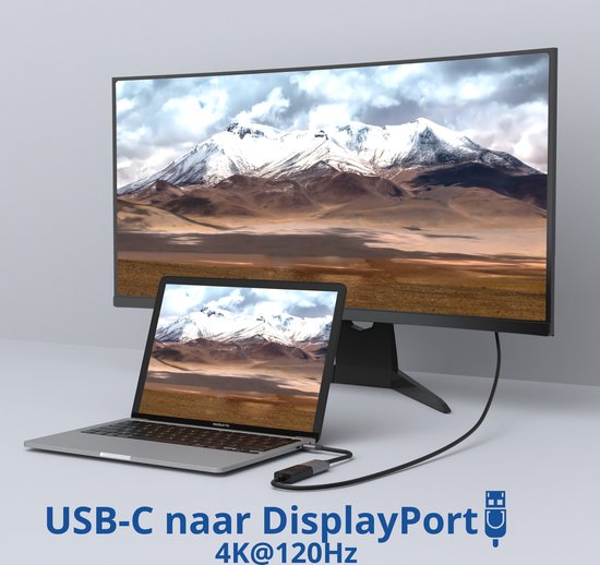 Rolio USB C DisplayPort Adapter - USB-C naar DisplayPort - 4K 144hz | bol