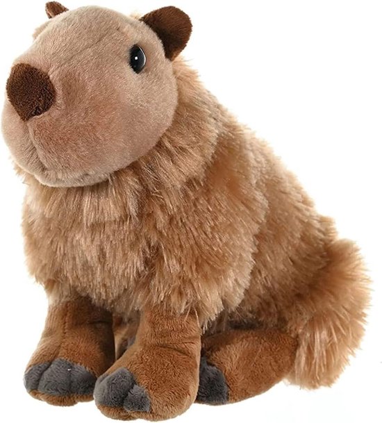 Cadeau Tip - Capibara Knuffel 30cm - Capybara Knuffel - Capybara Pluche ...