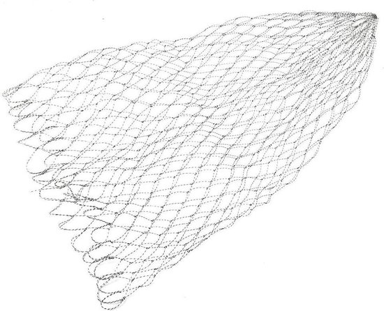 Filet de pêche NetMesh Dia 60 cm – Filet d'atterrissage de rechange ...