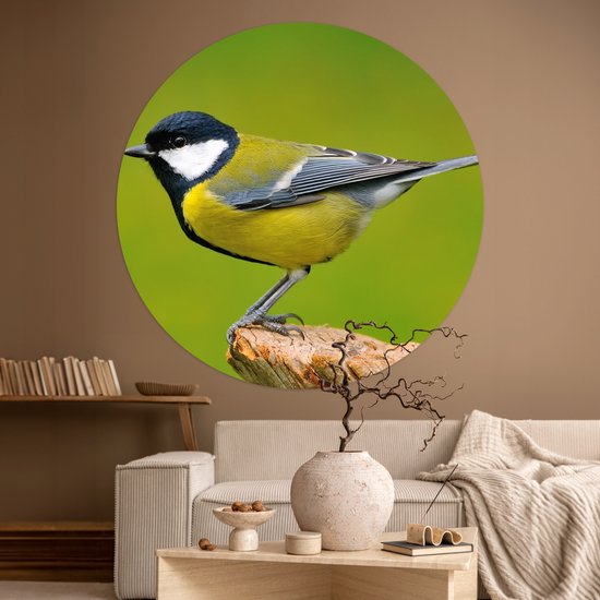 Behangcirkel - Vogel - Koolmees - Groen - Dieren - Zelfklevend behang ...