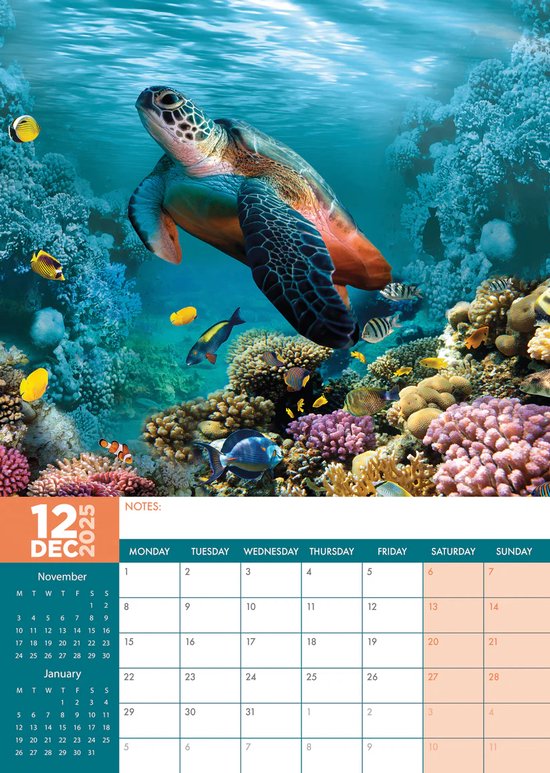 Onderwaterwereld A3 Kalender 2025 | bol