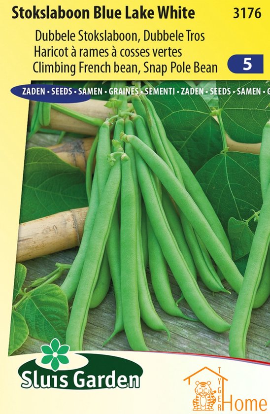 Pole Green Bean Blue Lake White Graines: Grow Delicious, Crispy Double ...