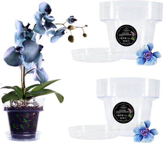 Transparante orchideeënpotten - 15 cm diameter (2 stuks) + onderzetters ...