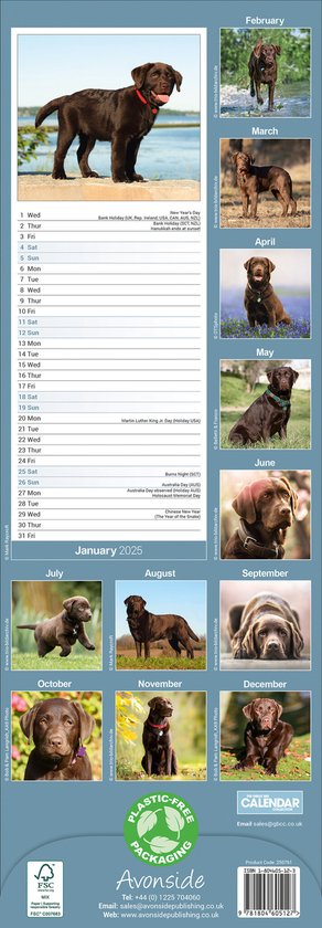 Labrador Retriever Kalender Bruin 2025 Slimline | bol