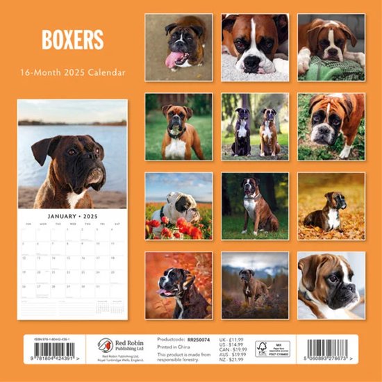 Kalender 2025 - Boxers | bol
