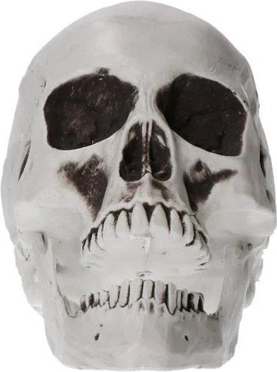 Schedel 18cm - Halloween | bol