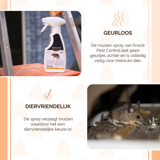 Knock Pest Control Blijf Weg Muizen - Muizenbestrijding & verjager ...