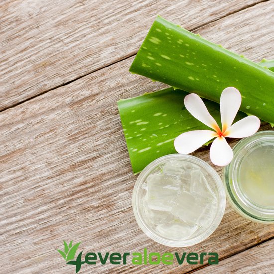 Freedom Aloe Vera Drank | 1 Liter | bol