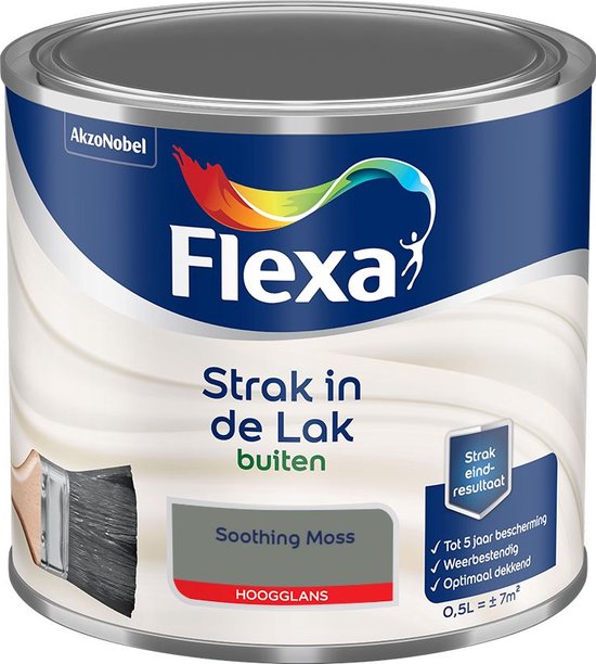 Flexa Strak in de Lak - Buitenlak - Hoogglans - Soothing Moss - 500 ml ...