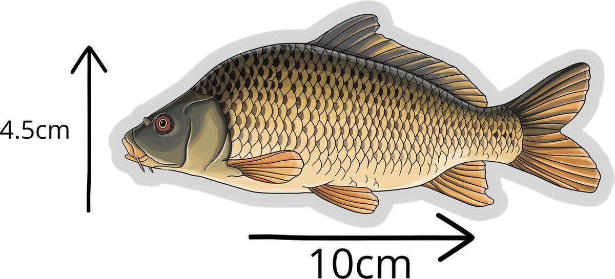 Carpyshot - sticker - karper - schubkarper - vissen - vissticker - transparant - 10cm... | bol.com