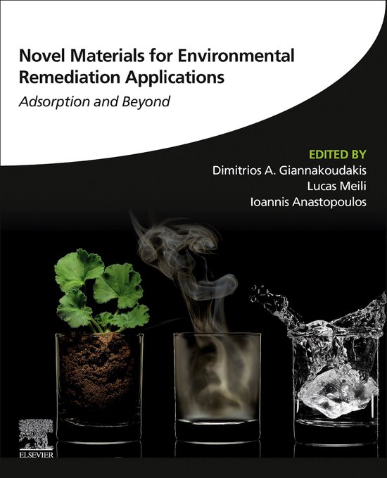 Novel Materials for Environmental Remediation Applications (ebook ...