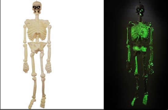 Hang Skelet glow in dark 150 cm - OP=OP - Halloween griezel doodshoofd horror festival... | bol