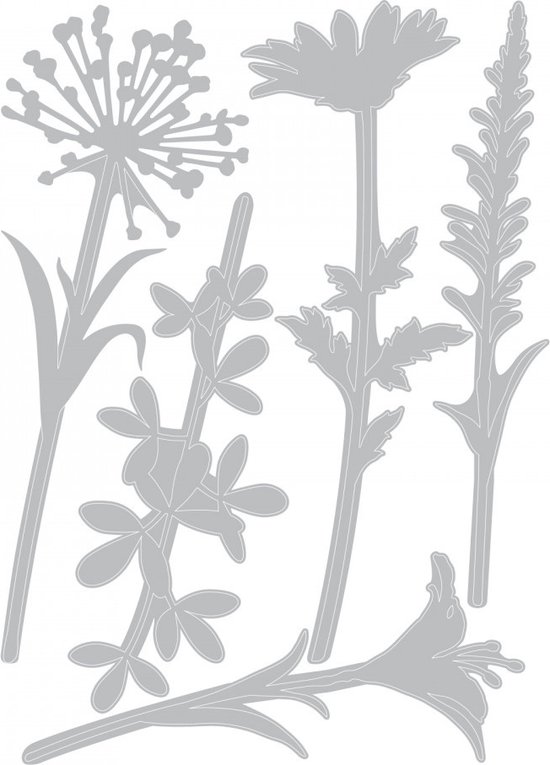 Sizzix Thinlits Snijmal - Wilde Bloemen Stengels Set #2 - 5 Stuks | bol