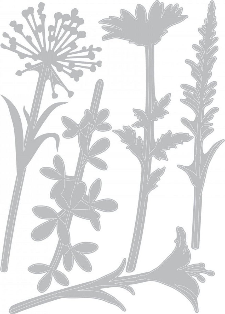 Sizzix Thinlits Snijmal - Wilde Bloemen Stengels Set #2 - 5 Stuks | bol.com