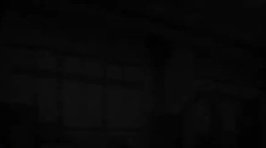 Spirit Fitness SP-4331 - Pec Fly & Rear Delt Machine - Steekgewichten ...