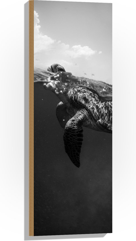 WallClassics - Hout - Schildpad Zwemmend in het Water Zwart / Wit - 30x90 cm - 12 mm... | bol