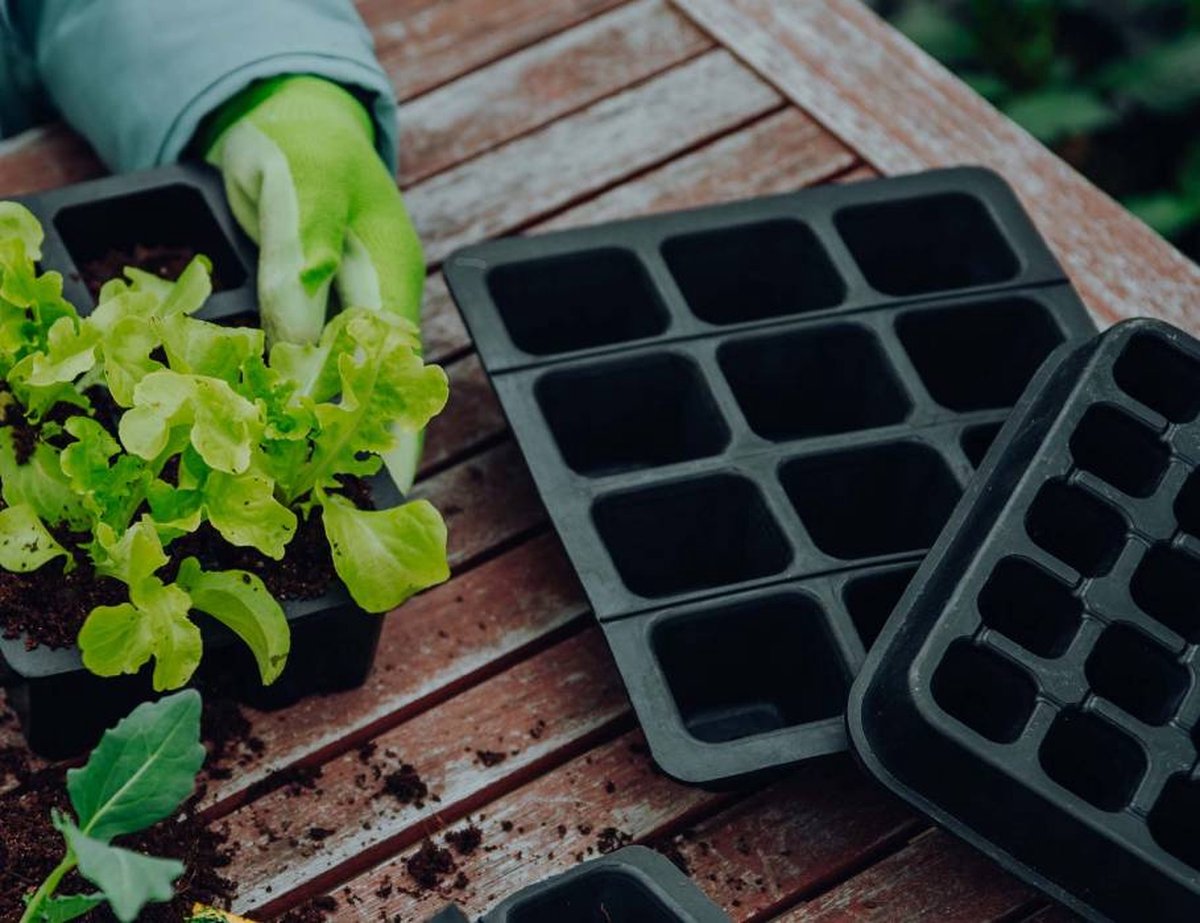 2 x Kiembak/zaadtray - natuurlijk rubber - 6 vakjes | bol.com