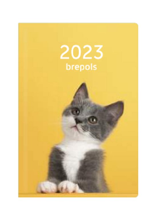 Brepols - Armada AMICI Oranje - 2023 - Agenda - ZAK FORMAAT - 7,1 x 10 ...