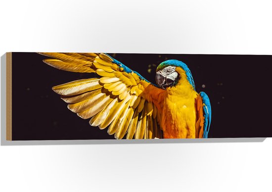 WallClassics - Hout - Ara Papegaai met Geel Gouden Vleugels - 90x30 cm ...