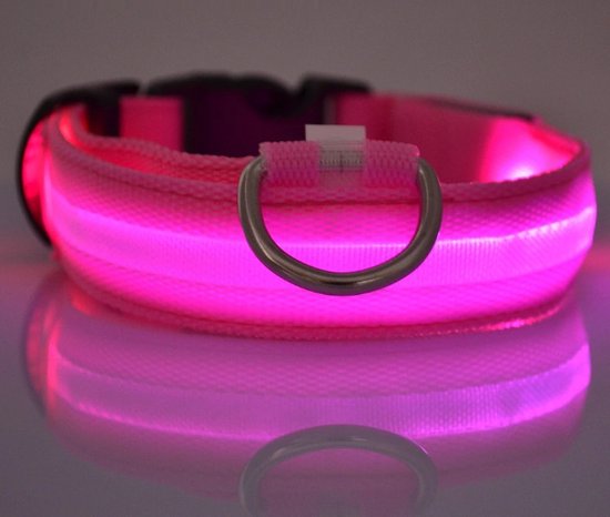 LED halsband hond | Maat S | 35 - 43 cm | USB oplaadbaar | Roze ...