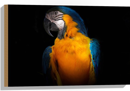 WallClassics - Hout - Blauw Gele Ara Papegaai - 60x40 cm - 12 mm dik ...