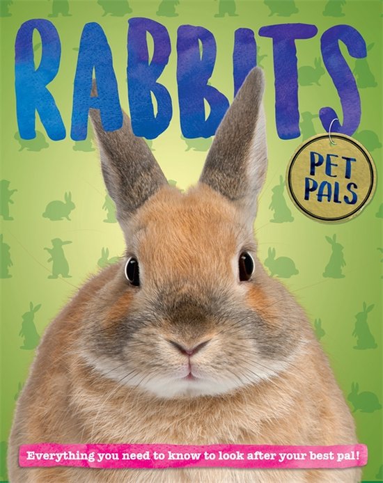 Rabbit Pet Pals, Pat Jacobs | 9781526301444 | Boeken | bol.com