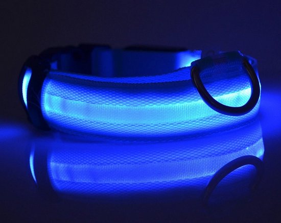 LED halsband hond | Maat L | 45 - 52 cm | USB oplaadbaar | Blauw ...