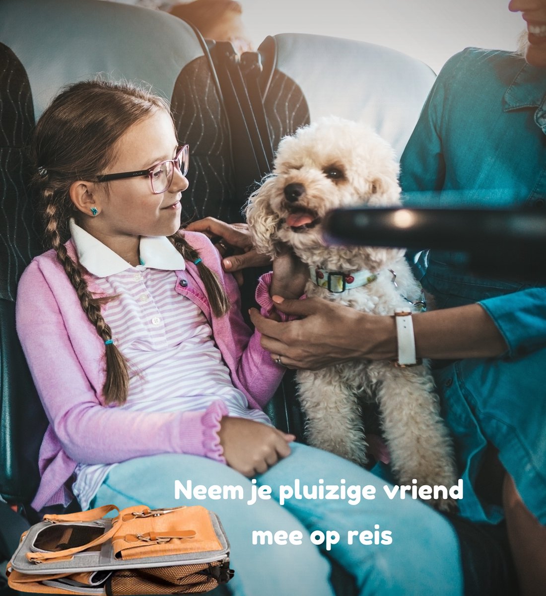 Bee's Hondenrugzak - Draagtas Hond en Kat - Max 10 kg - 42x30x22cm ...