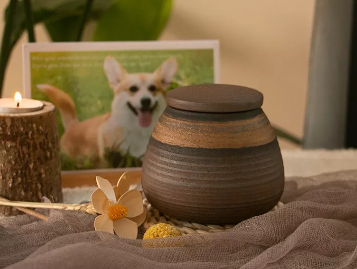 Urn huisdier - Urn voor as - ik Urne hond / huisdier - Urn hond - Urn ...