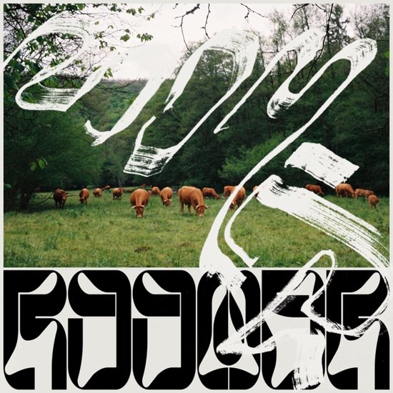 Skice | 4260437157678 | Boeken | bol