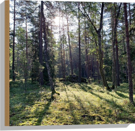 WallClassics - Hout - Dunne Bomen voor de Zon - 50x50 cm - 12 mm dik ...