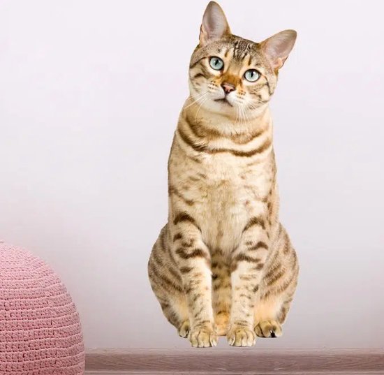Muursticker Kat - Bengaalse Kat 20cm x 45cm - Raamsticker Kat ...
