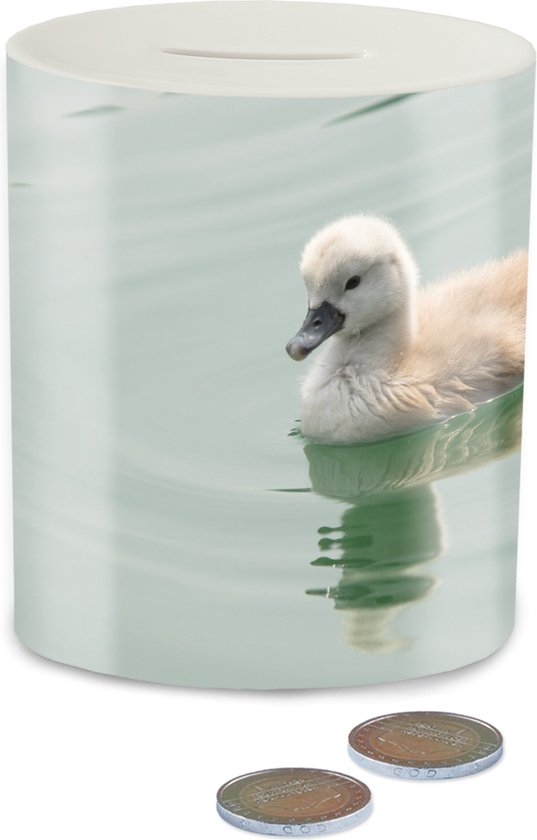 Spaarpot - Spaarblik - Baby - Kuiken - Zwaan - Spaarpotten ...