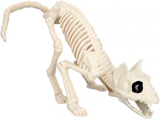 Skelet kat 51 cm - Halloween horror thema feest party fun feest creepy ...