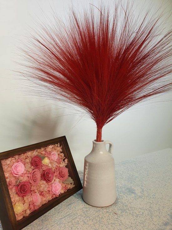 Droogbloemen Boeket met Gedroogde Bloemen van Rode Dried Barba De Bode ...