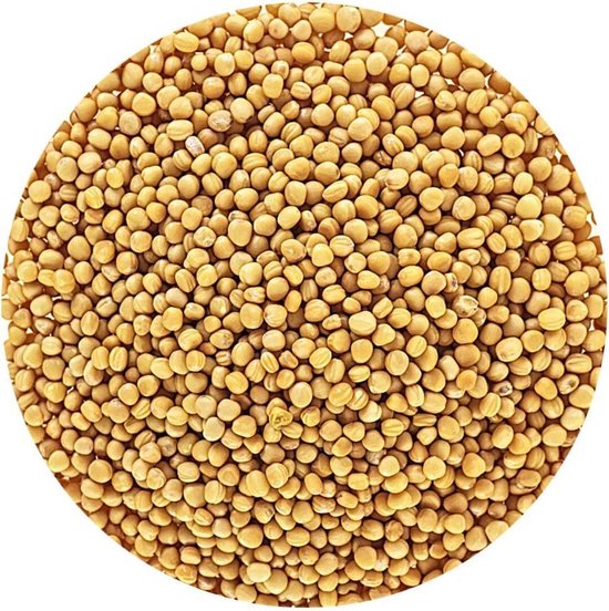 Mosterdzaad Heel Geel erucazuur arm Bio - 1 Kg - Holyflavours ...