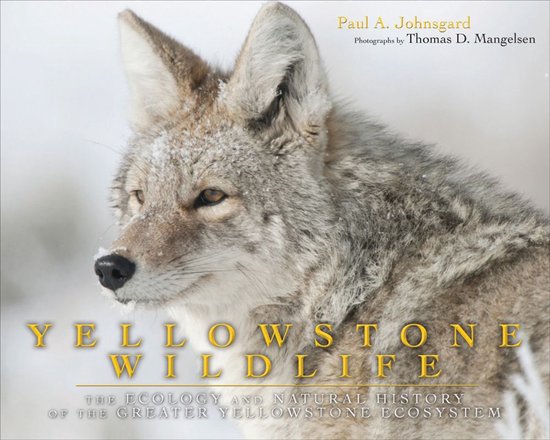 Yellowstone Wildlife (ebook), Paul A. Johnsgard | 9781607322290 ...