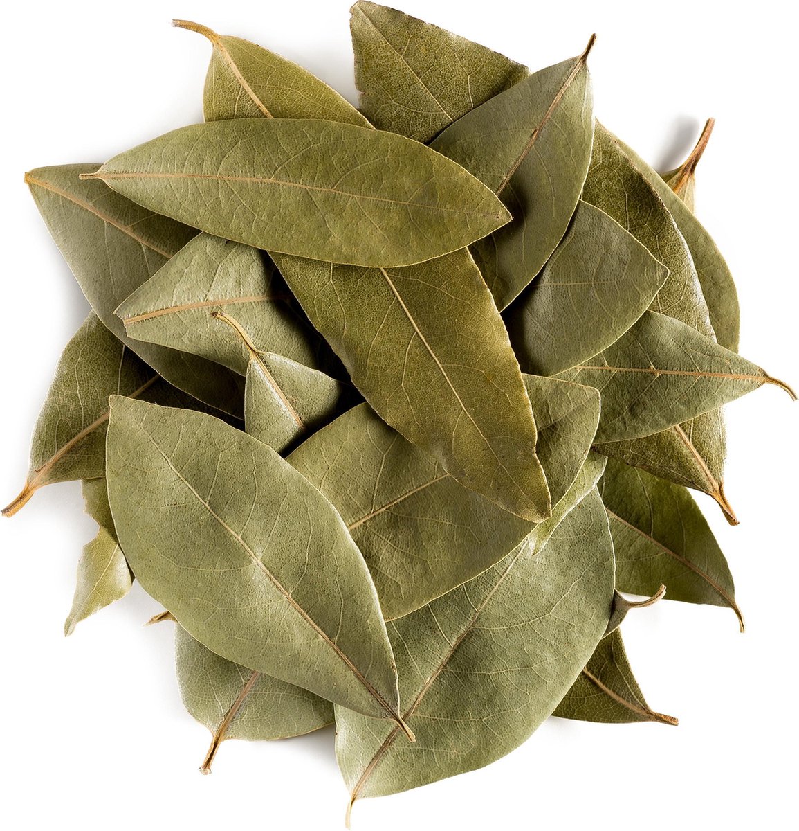 Laurier Blad Bio Kruid Laurierblad - Hele Culinaire Laurierbladeren ...