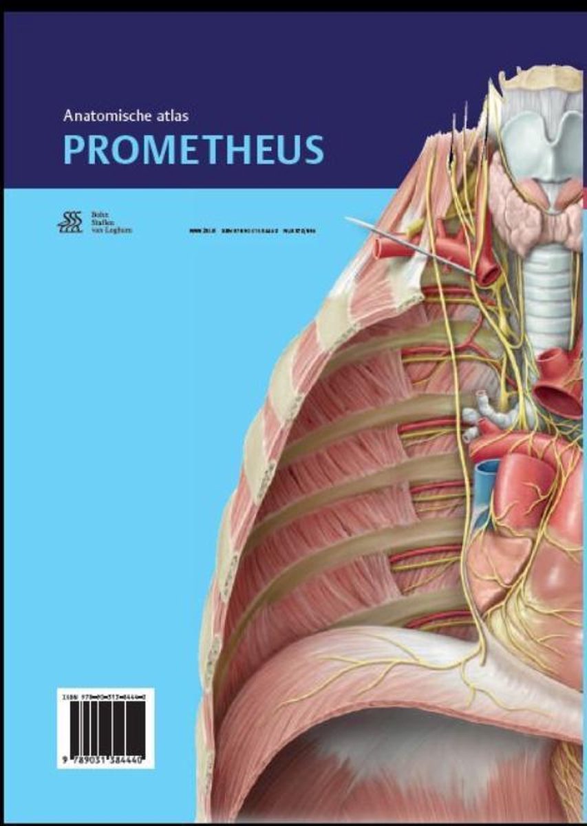 Prometheus anatomische atlas 2 - Inwendige organen | 9789031384440 ...