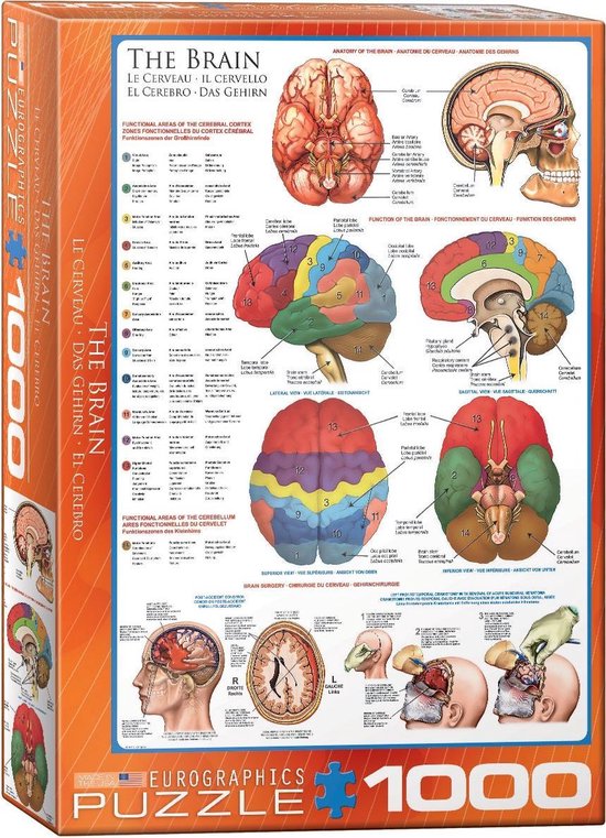 Eurographics puzzel The Brain - 1000 stukjes | bol.com