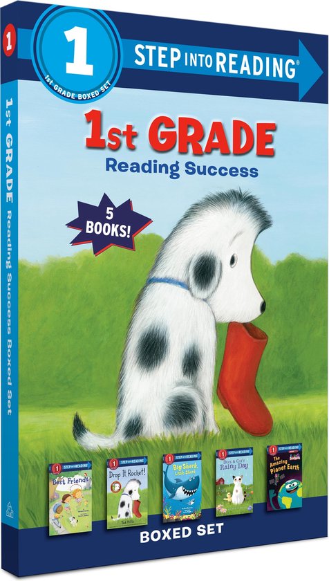 1st Grade Reading Success Boxed Set: Best Friends, Duck & Cat's Rainy ...