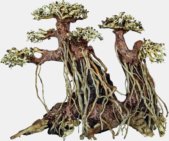 Superfish hand gemodelleerd hout voor aquariumdecoratie bonsai twin tree Medium | bol