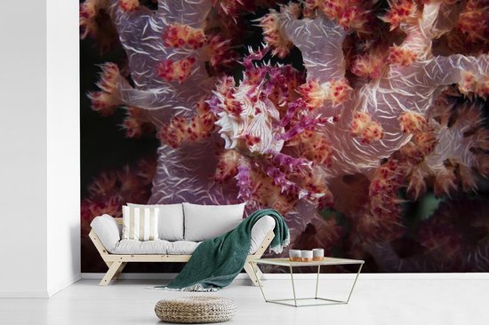 Behang - Fotobehang Rood zacht koraal met verschillende texturen bij de ...