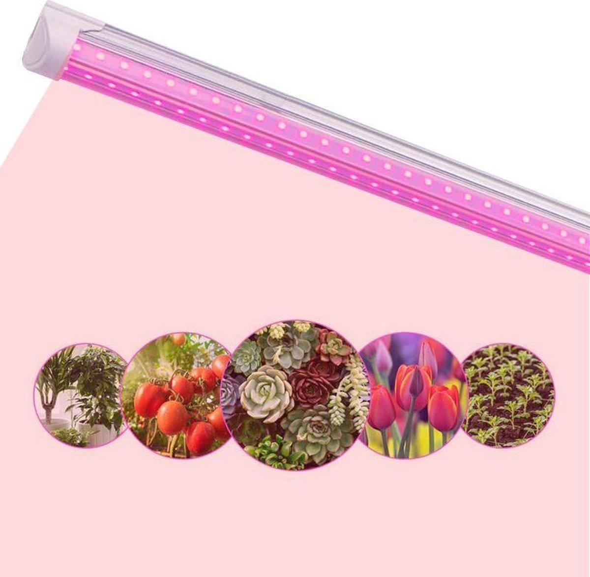 TL LED Buis Groeilamp - Full Spectrum - 24 Watt - 150 cm - Met Armatuur ...